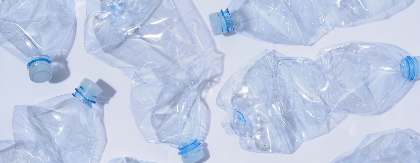 Zero Waste DC | Home